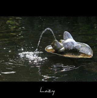 Are You the Sluggard? And What to Do About It