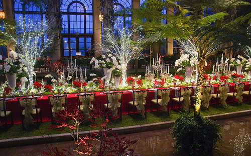 The Feeding of 5,000 According to Luke