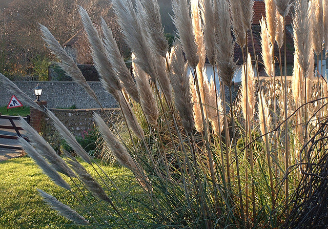 Context Matters: A Bruised Reed