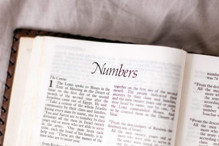 What We Miss When We Skip the Book of Numbers